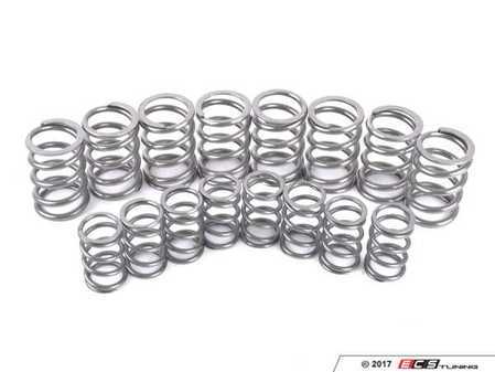 Techtonics Tuning - 109084A - Heavy-Duty Dual Valve Springs Upgrade Kit ...
