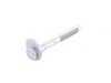 Genuine Volkswagen Audi - WHT000228 - Eccentric Bolt - Priced Each (WHT ...