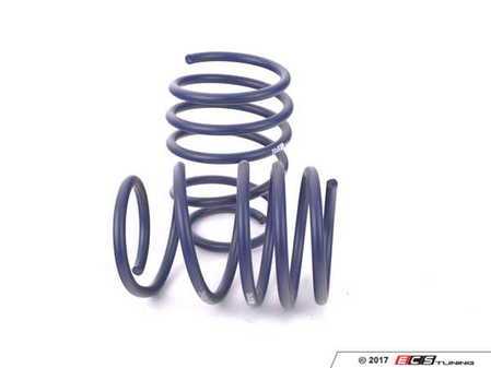 H&R - 29484 - Sport/race Spring Set