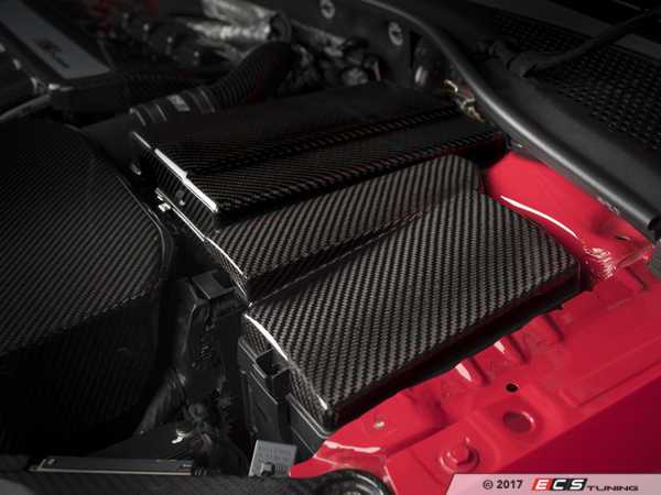 ECS - 019725ECS01 - Carbon Fiber Fuse Box / ECU Cover