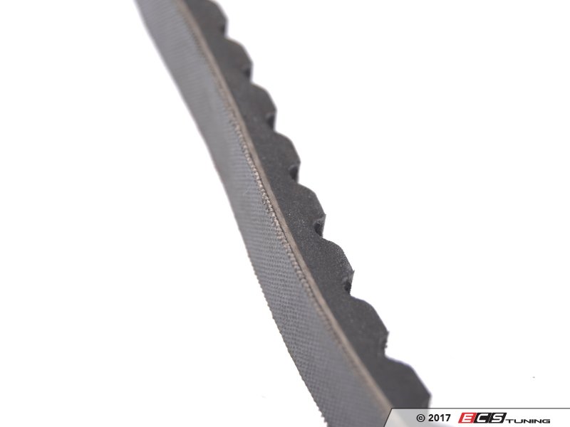 Genuine BMW - 64521711058 - Belt - A/C Compressor 13 X 800 (64-52-1-711 ...