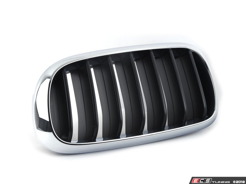 Genuine BMW - 51137294485 - Grille (51-13-7-294-485)