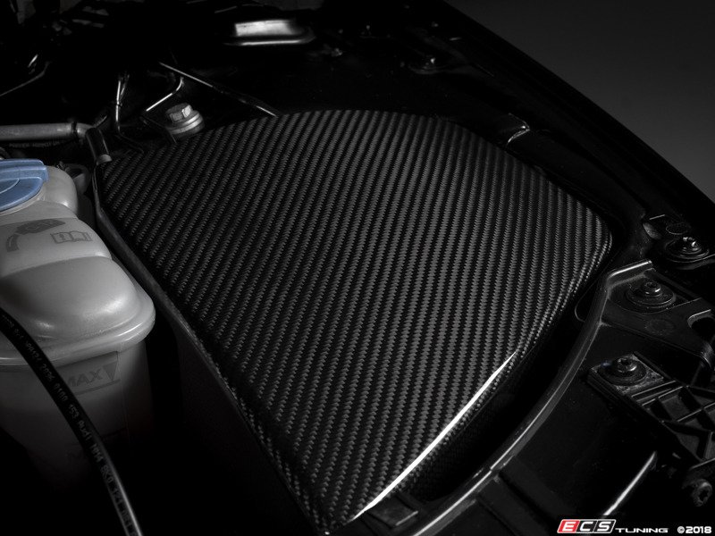 ECS - 022738ecs02KT - Audi B8/B8.5 A4 Carbon Fiber Left Side Engine Bay ...