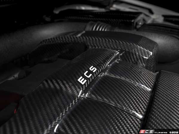 ECS - 016308ECS01-03 - Carbon Fiber Engine Cover Kit