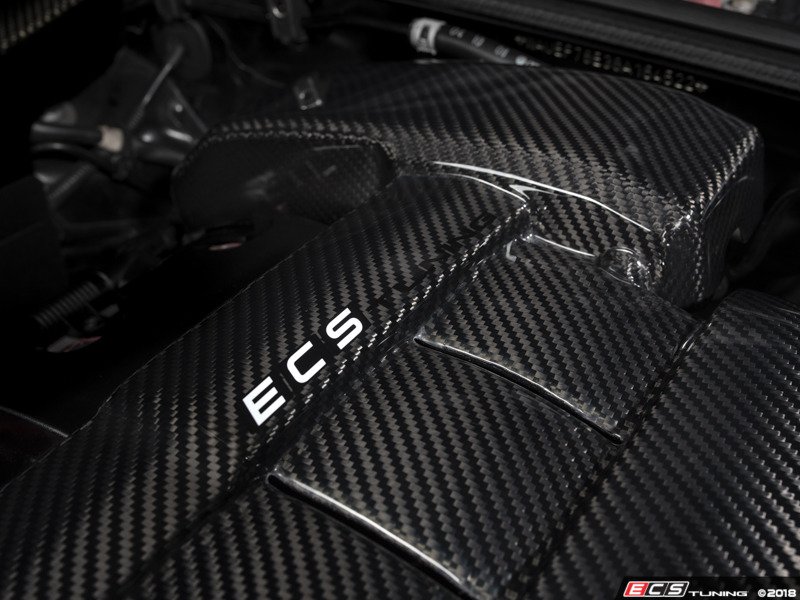ECS - 016308ECS01-04KT - Carbon Fiber Engine Cover Kit