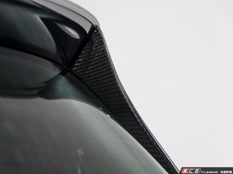ECS - 023337ECS01 - Carbon Fiber Hatch Spoiler Side Blades - Set