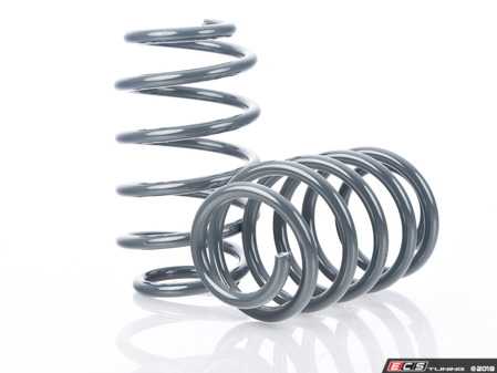 Racingline - VWR31G60R - VWR Sports Springs