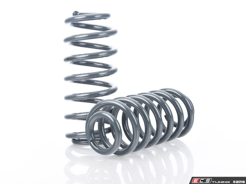 Racingline - VWR31G60R - VWR Sports Springs