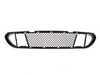 Genuine BMW - 51117896586 - Lower Grille - Center (51-11-7-896-586)