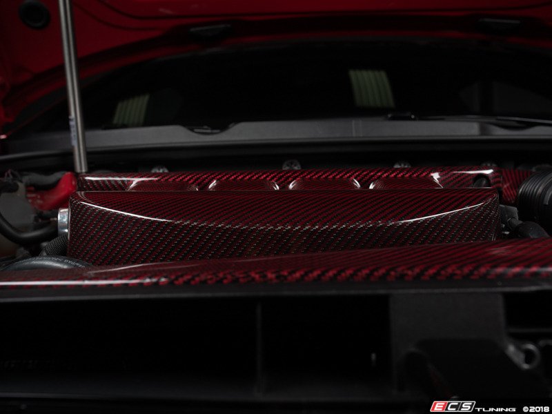 ECS - 015502ECS02 - MK7/8v Gen3 Red Carbon Kevlar Engine Cover - (NO ...