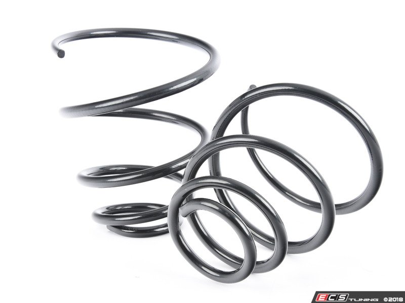 Genuine BMW - 51767326507 - WEATHERSTRIPPING, B-PILLAR, (51-76-7-326-507)