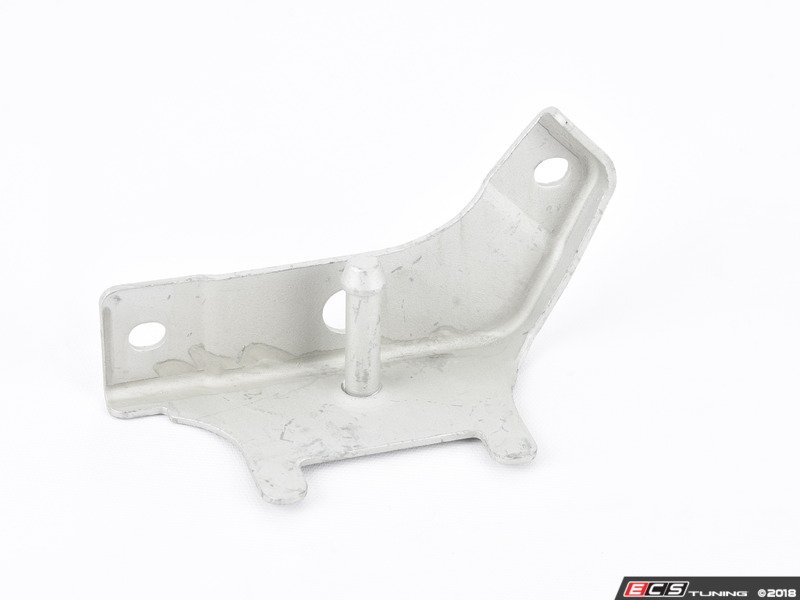 Genuine BMW - 18207845461 - HOLDING STRAP LEFT (18-20-7-845-461)