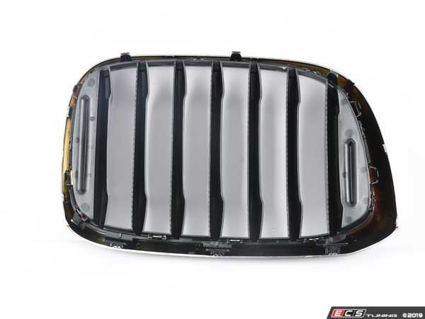 Genuine BMW - 51137464921 - Front Grill - Left - Mpa (51-13-7-464-921)