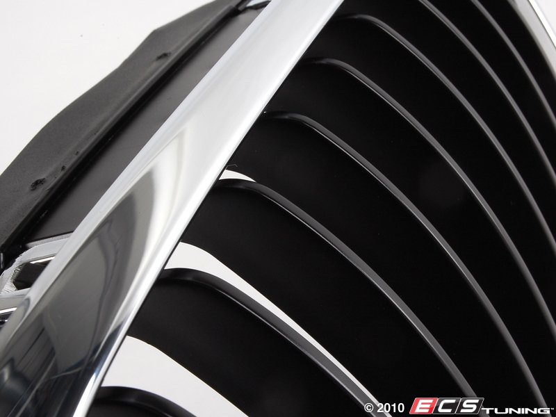 Genuine BMW - 51138208488 - Kidney Grille - Right (51-13-8-208-488)