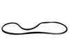 Genuine BMW - 51727025579 - E53 X5 Front Door Seal - Priced Each (51-72 ...