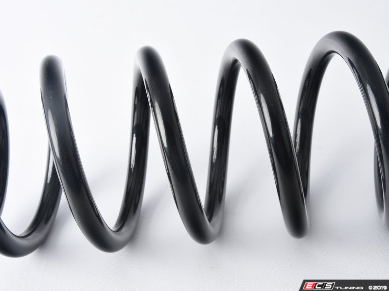 Genuine BMW - 33536787203 - REAR COIL SPRING (33-53-6-787-203)