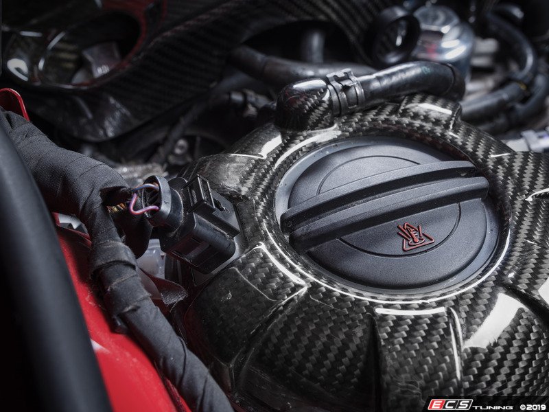 ECS - 020807ECS01-01 - Black Carbon Fiber Expansion Tank Cover Kit