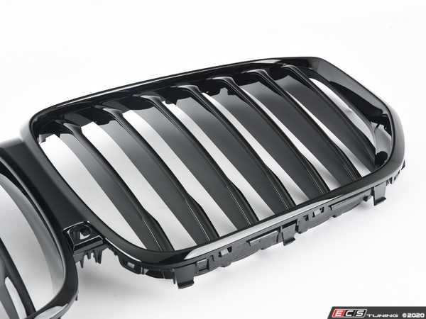 Genuine BMW - 51138096590 - M Performance Grille - Black (51-13-8-096-590)