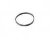 Genuine BMW - 11538658571 - PROFILE-GASKET (11-53-8-658-571)