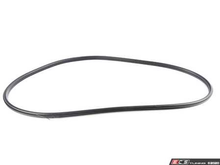 Genuine BMW - 51727396556 - EDGE PROTECTION, DOOR, REAR (51-72-7-396-556)