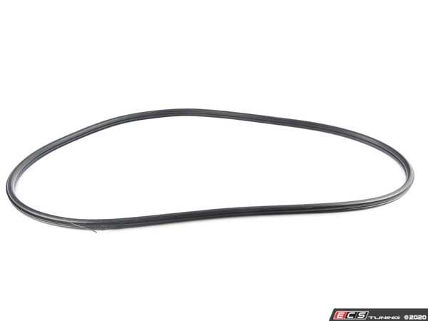 Genuine BMW - 51727396556 - EDGE PROTECTION, DOOR, REAR (51-72-7-396-556)