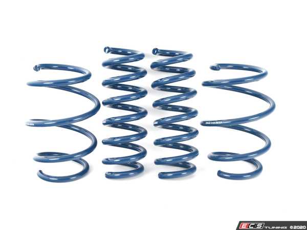 Dinan - D100-0934 - Dinan Performance Spring Set