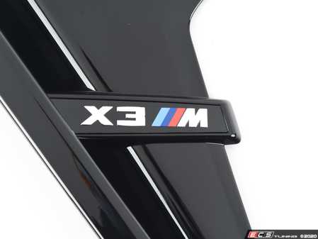 Genuine BMW - 51138098089 - Genuine BMW Grille (51-13-8-098-089)