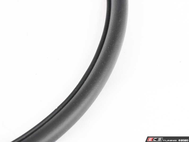 Genuine BMW - 51767317852 - DOOR WEATHERSTRIP FRONT (51-76-7-317-852)