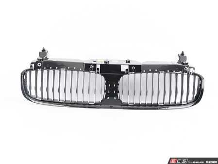 Genuine BMW - 51137037727 - Grille Frame (51-13-7-037-727)