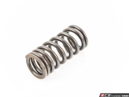 Genuine Volkswagen Audi - 06E109623L - Valve Spring - Priced Each (06E ...