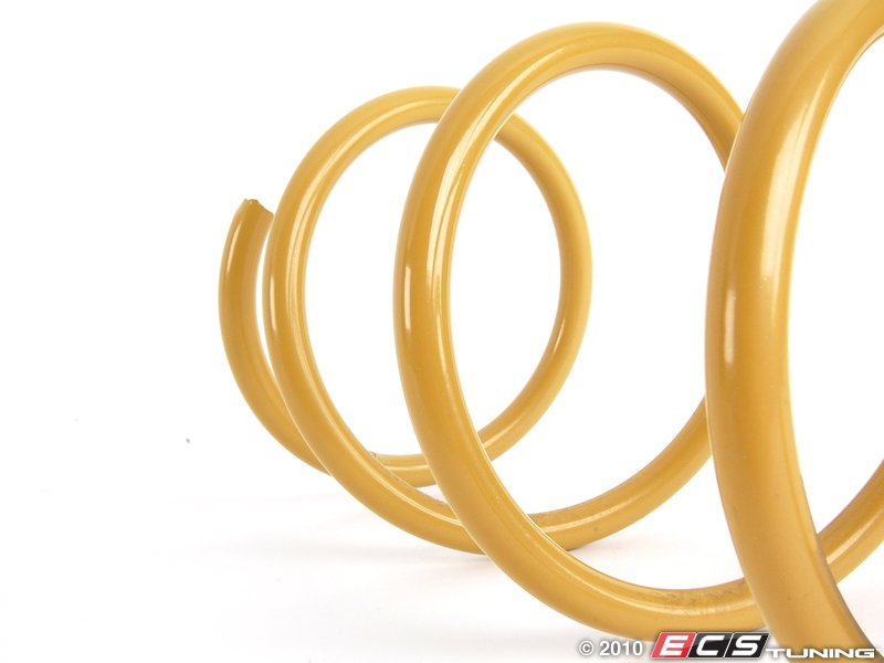 Genuine BMW M Performance - 31336788893 - Front coil spring - priced each