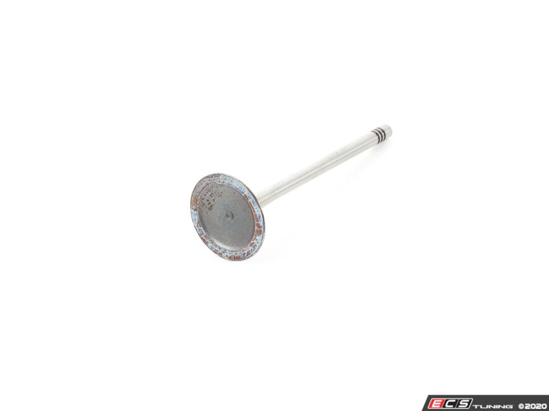 TRW - 06E109601E - Intake Valve - Priced Each