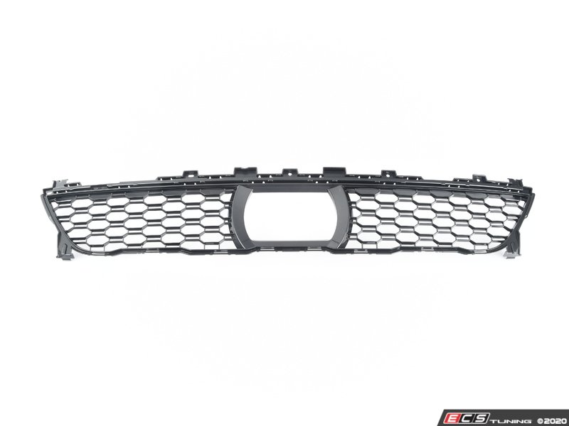 Genuine BMW - 51118069888 - GRILL, CENTER, FOR ACC, LOWE (51-11-8-069-888)