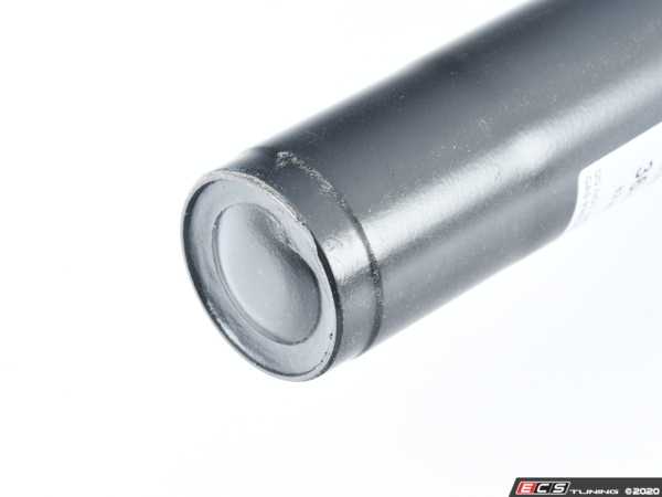 Sachs - 31316781919 - Strut - Front