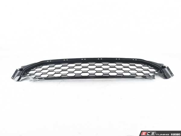 Genuine BMW - 51118064599 - Grill - Air Intake - Center (51-11-8-064-599)