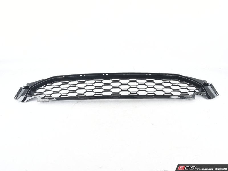 Genuine BMW - 51118064599 - Grill - Air Intake - Center (51-11-8-064-599)