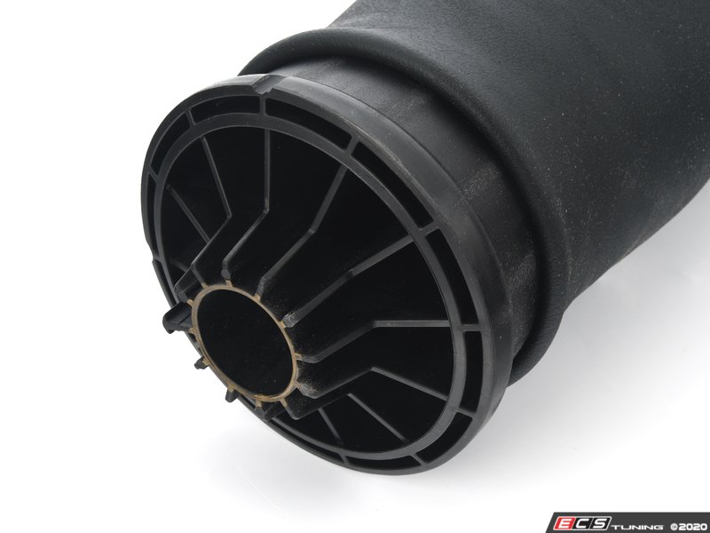 Genuine Mercedes Benz - 2923200525KT - Remanufactured Rear Air ...