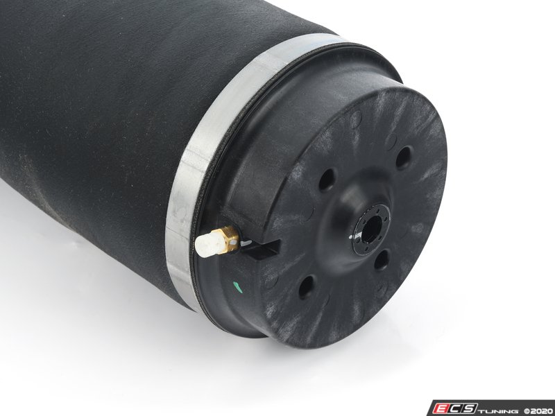 Genuine Mercedes Benz - 2923200525KT - Remanufactured Rear Air ...