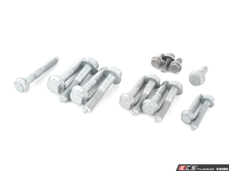 Assembled By ECS - MK4DMBOLTSFULLKT - Full Engine And Transmission Bolt Kit