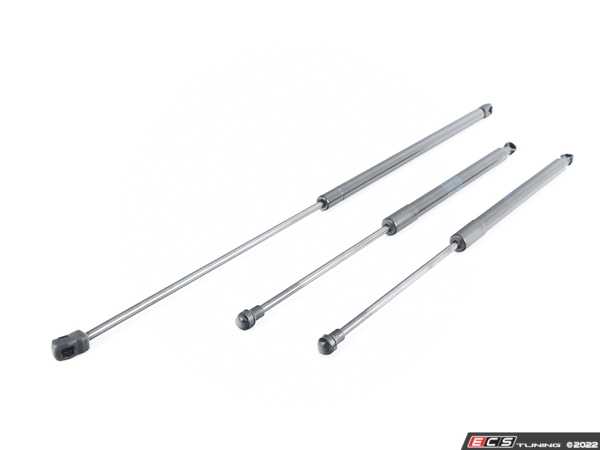 Assembled By ECS - 8E9827552LKT - Hood And Hatch Strut Kit