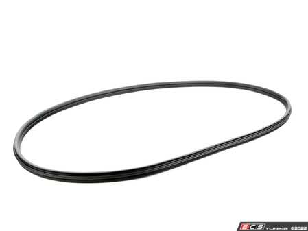 Genuine BMW - 51727440034 - EDGE PROTECTION, DOOR, REAR (51-72-7-440-034)