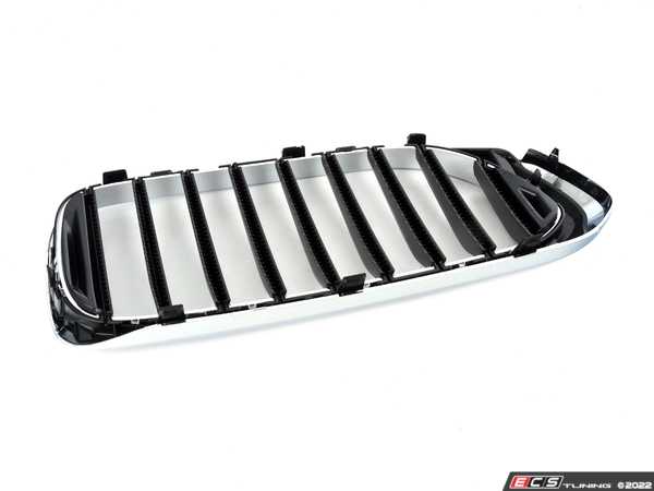 Genuine BMW - 51137383519 - Grille (51-13-7-383-519)