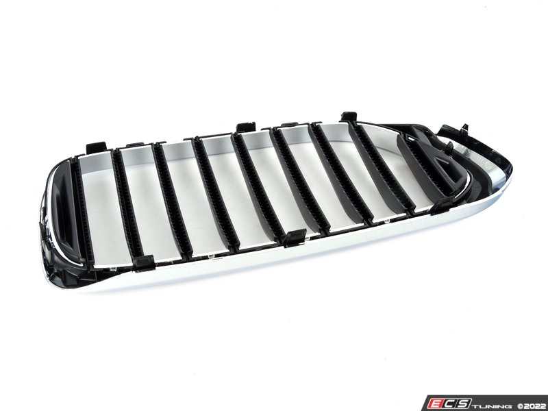 Genuine BMW - 51137383519 - Grille (51-13-7-383-519)