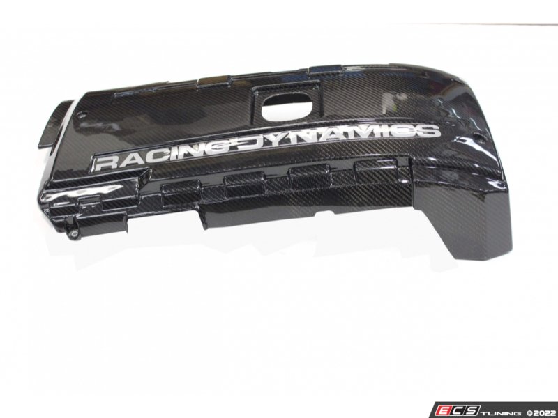 Racing Dynamics - 1317454020 - Racing Dynamics Carbon Fiber Engine Cover