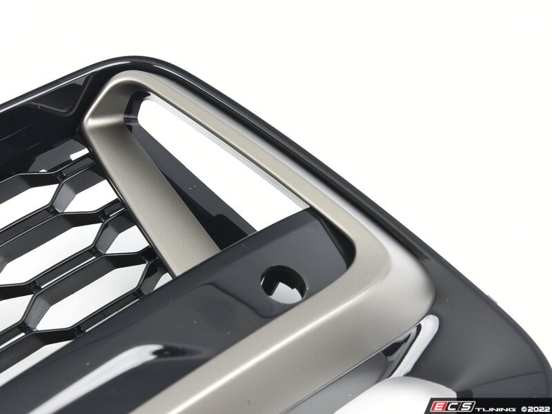 Genuine BMW - 51115A1ACA6 - GRID LATERAL RIGHT (51-11-5-A1A-CA6)