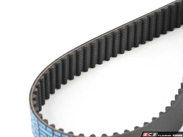 Genuine Volkswagen Audi - 03L198119N - Timing Belt Kit - Standard (03L ...