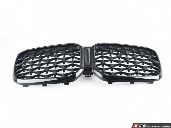 Genuine BMW - 51135A1AC59 - GRILL FRONT (51-13-5-A1A-C59)