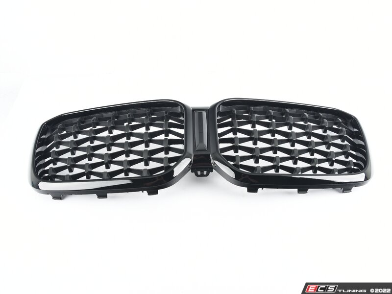 Genuine BMW - 51135A1AC59 - GRILL FRONT (51-13-5-A1A-C59)