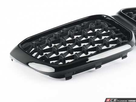 Genuine BMW - 51135A1AC59 - GRILL FRONT (51-13-5-A1A-C59)