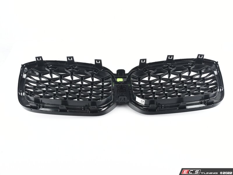 Genuine BMW - 51135A1AC59 - GRILL FRONT (51-13-5-A1A-C59)